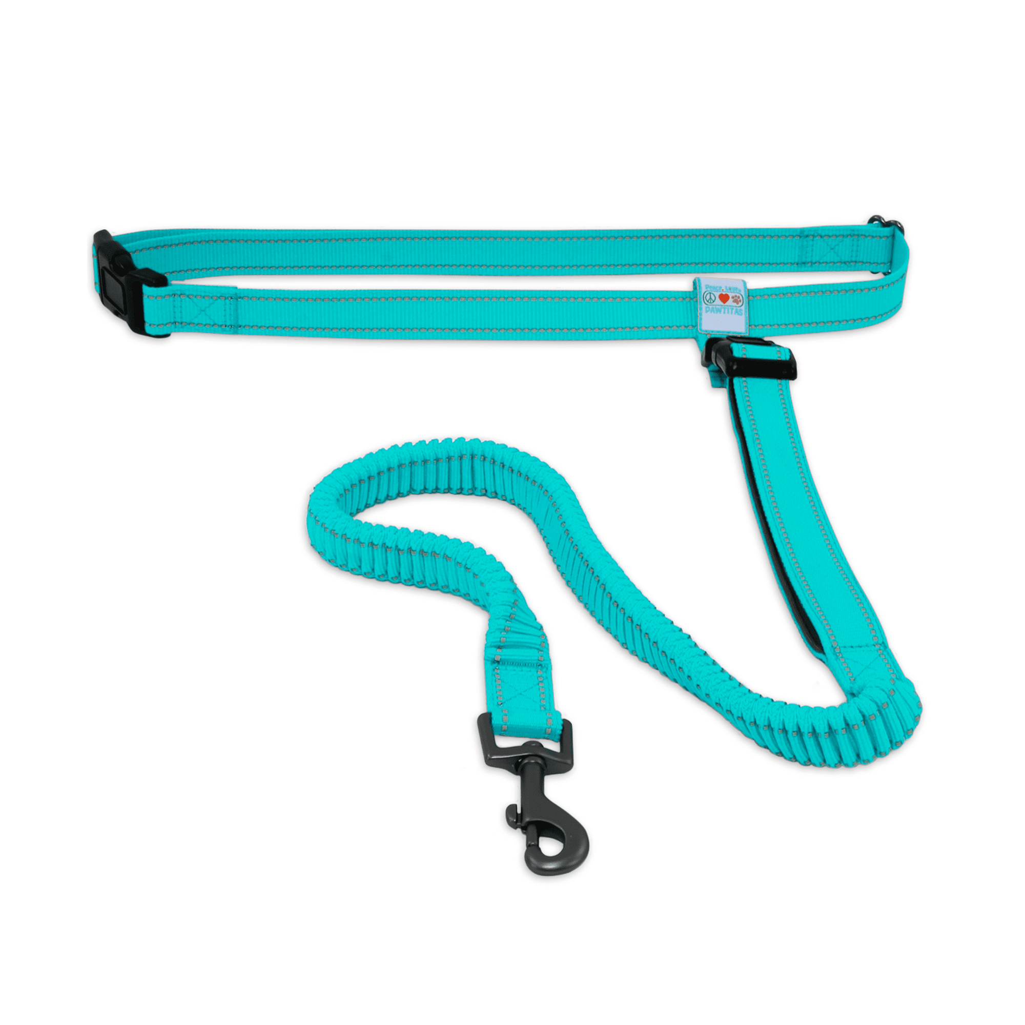 Pawtitas Dog Running Leash Hands Free for Large and Medium Dogs ...