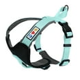 Pawtitas Padded Reflective Dog Harness Small Adjustable Teal Dog ...