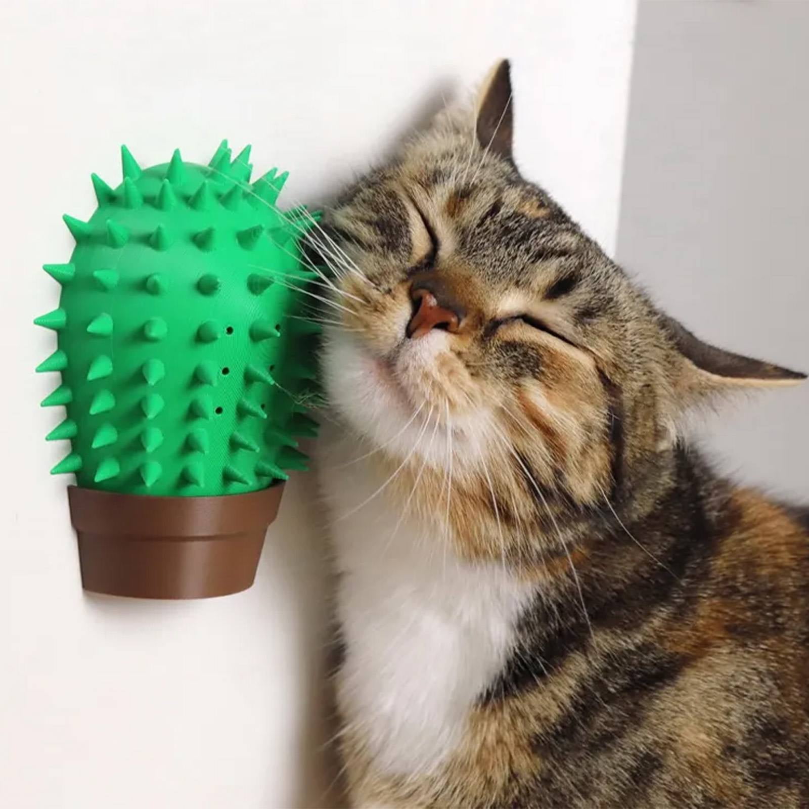 Pawz Road Interactive Cat Face Scratcher & Groomer - Wall-Mounted Cactus Corner Rubbing Activity ...