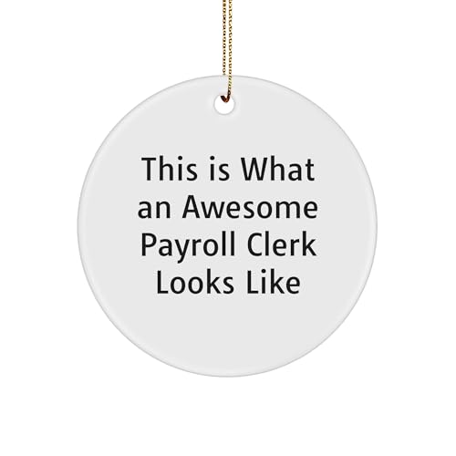 Payroll Clerk Gifts Payroll Clerk Appreciation Circle Ornament White ...