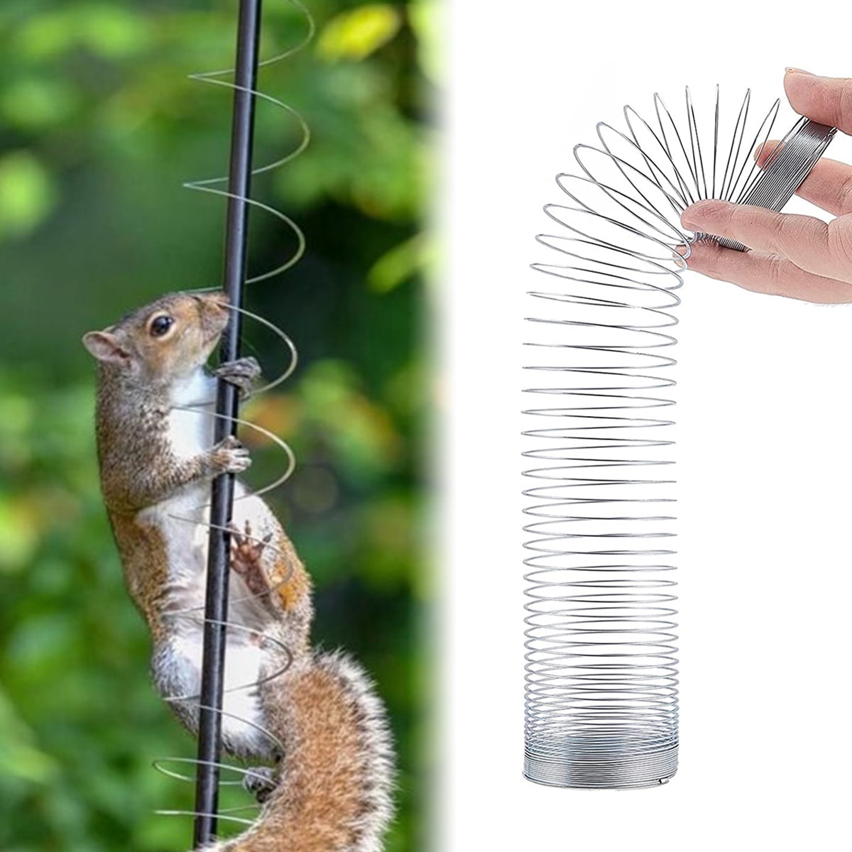 Pcapzz Squirrel-Proof Spring,Squirrel Baffle Metal Spring Device Spring ...
