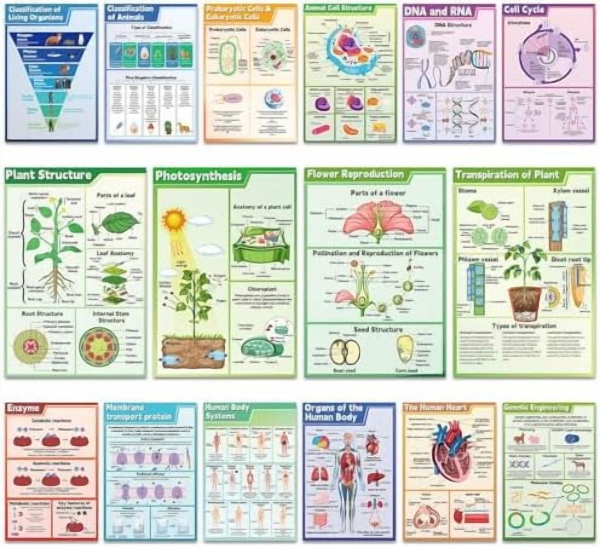 Pcs Biology Science Posters Middle High School Classroom Bulletin Board ...