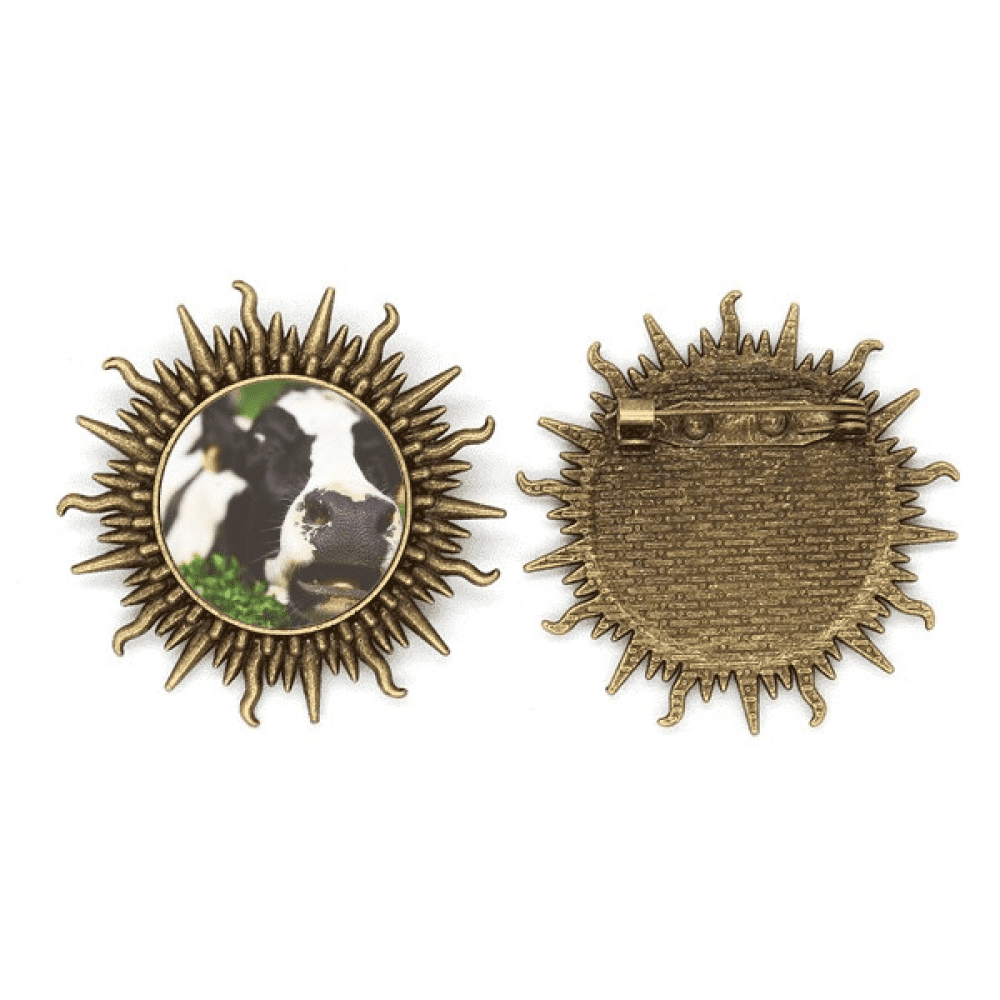 Pcture m Animal Cow Metall Sonne Brosche Haken Pin - Walmart.com