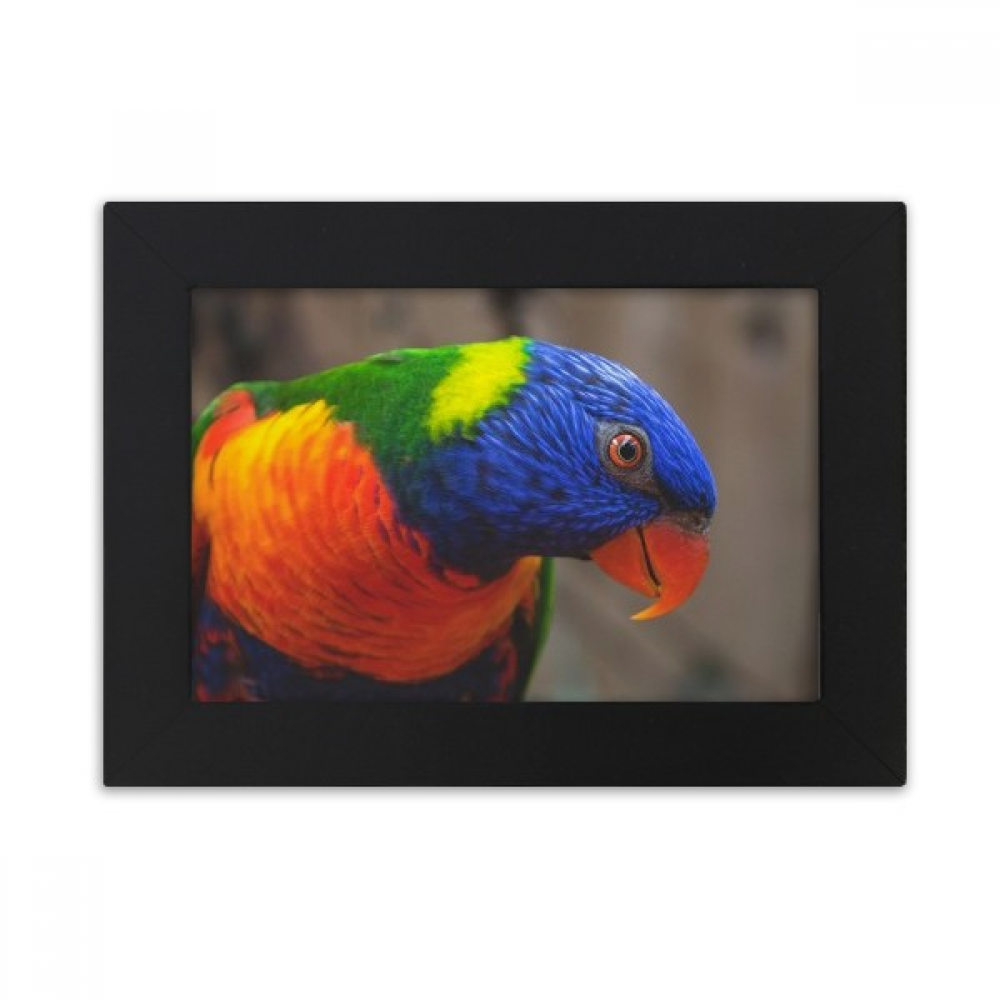 Pcture m Animal Parrot Desktop Photo Frame Ornaments Picture Art ...
