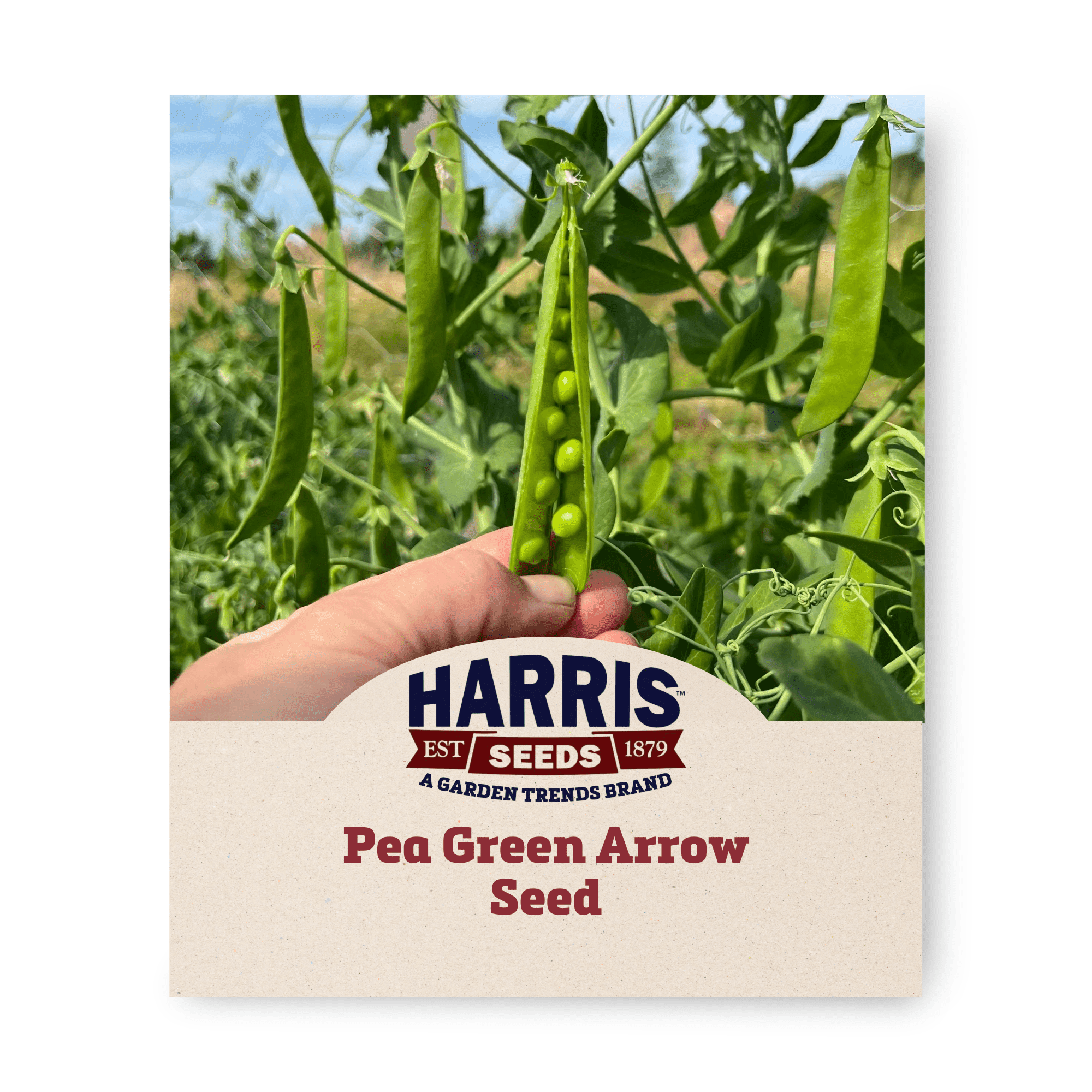 Harris Seeds Treated Green Arrow Pea Seeds Non-GMO Heirloom, 5 lbs ...