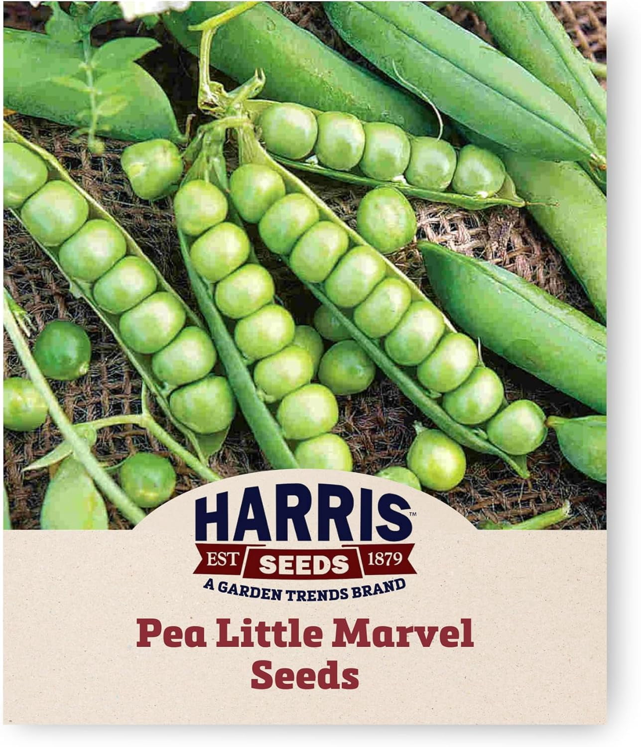 Harris Seeds - Treated Pea Seeds Little Marvel Non-GMO Dwarf Vines ...
