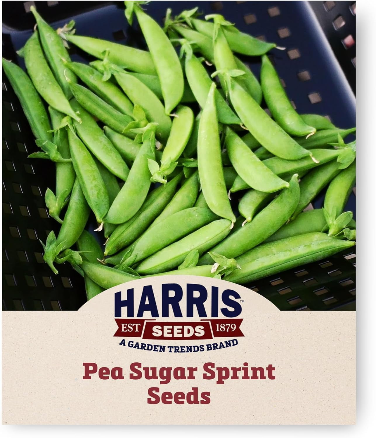 Harris Seeds - Pea Seeds Sugar Sprint Non-GMO Treated Edible Pods 100 ...