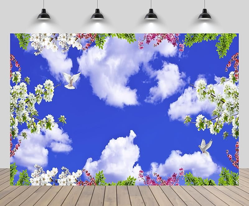 Peace Dove Backdrop Heaven Holy Spirit Bird Jesus Christ Blue Sky White ...