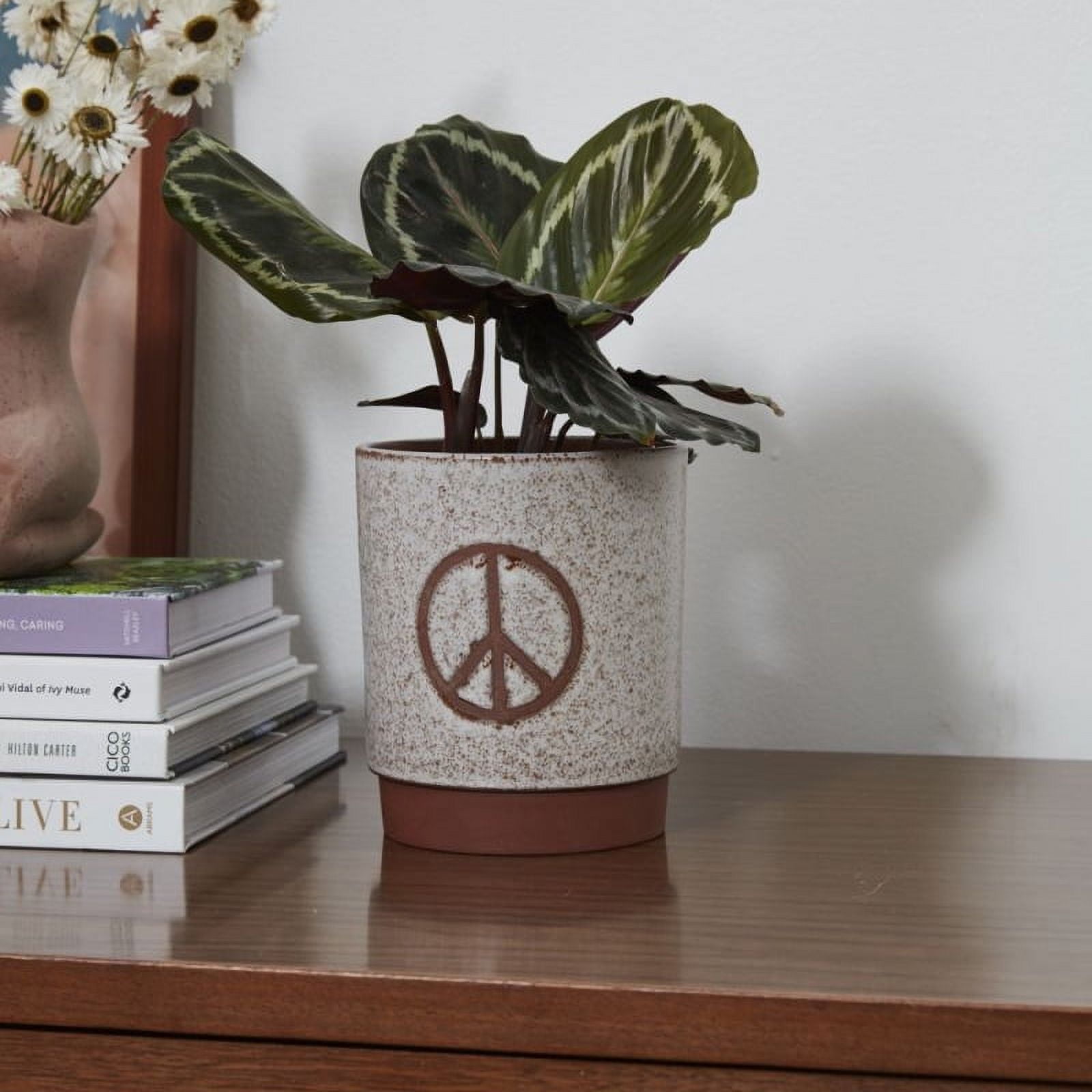 Peace Sign Planter Pot | Peace Pot | Succulent Planter | Unique Planter ...