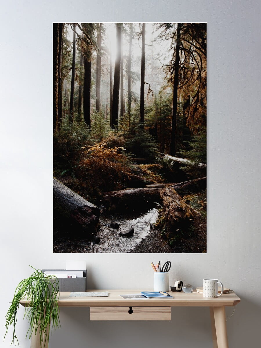 Peaceful Forest Poster Wall Art, Modern Wall Decor For Living Room Bedroom, 8x12 UNFRAMED ...