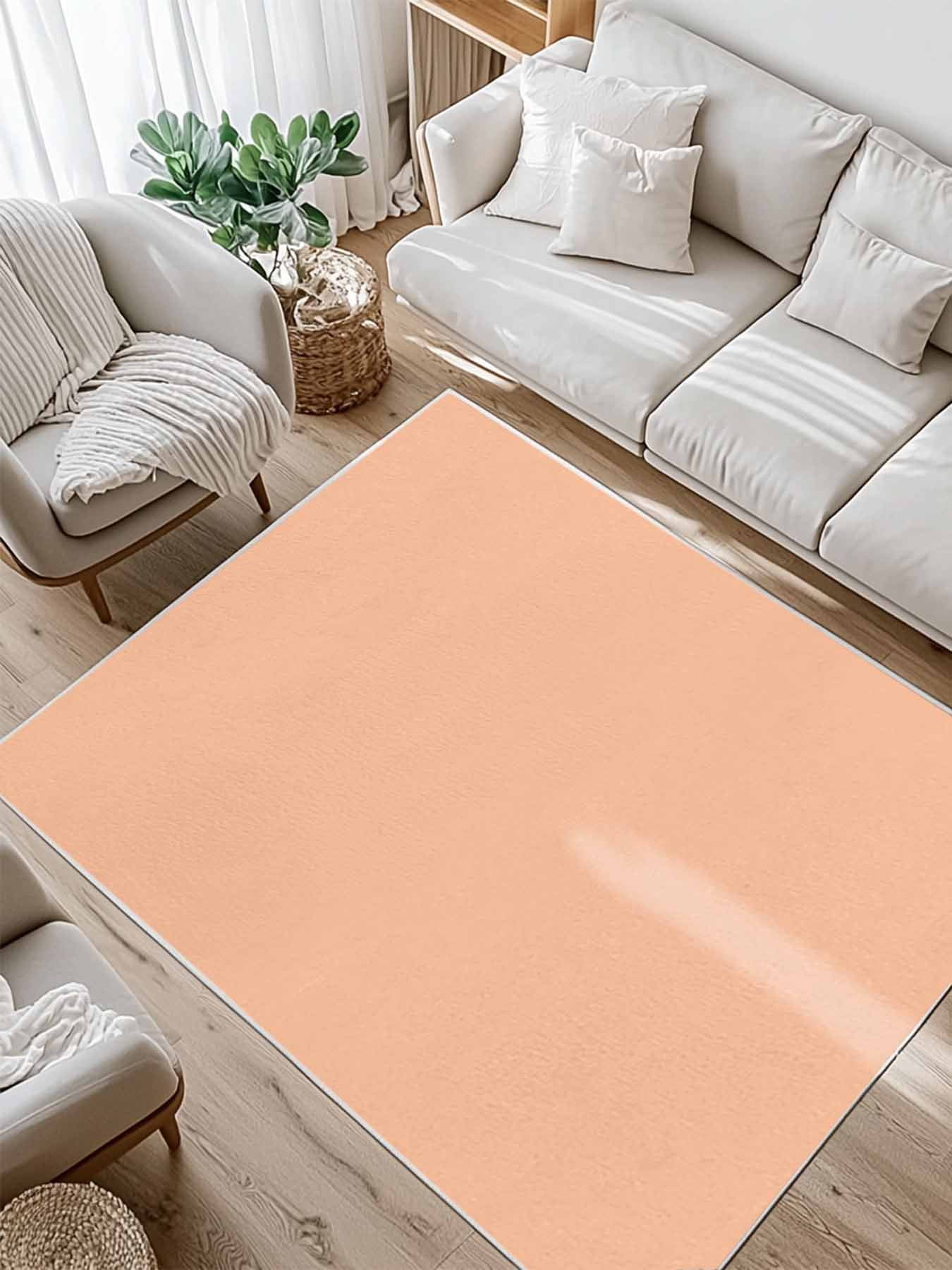 Peach Fuzz Area Rug for Bedroom 5x7 Ft Coral Solid Color Super Soft ...
