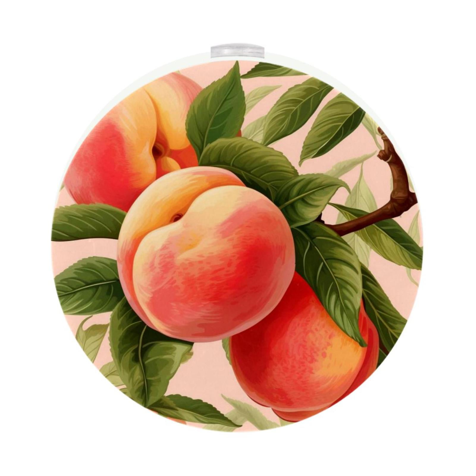 Peach LED Round Night Light-2PCS: Bright and Energy Efficient ...