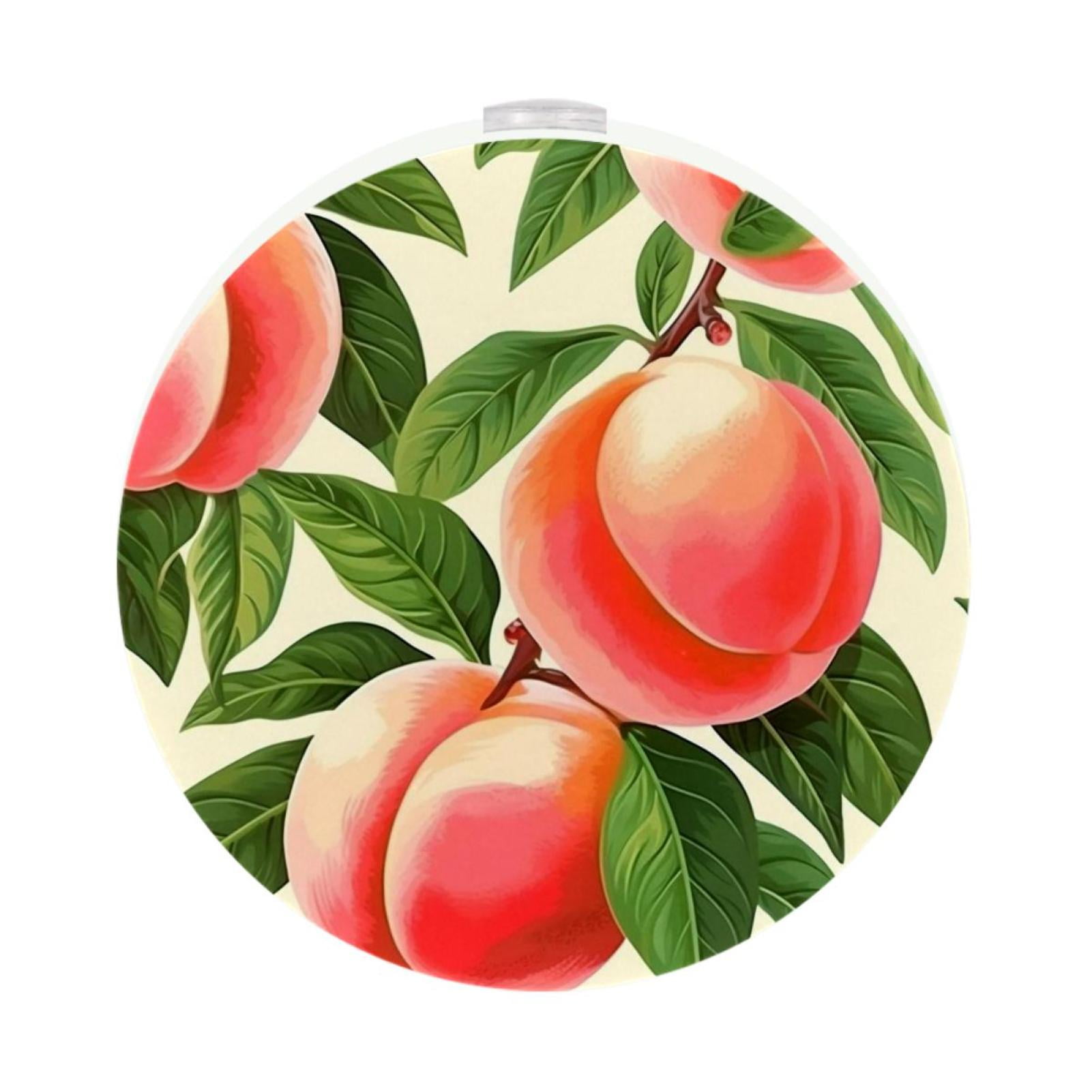 Peach LED Round Night Light-2PCS, Energy Efficient Plug-in Bedroom ...