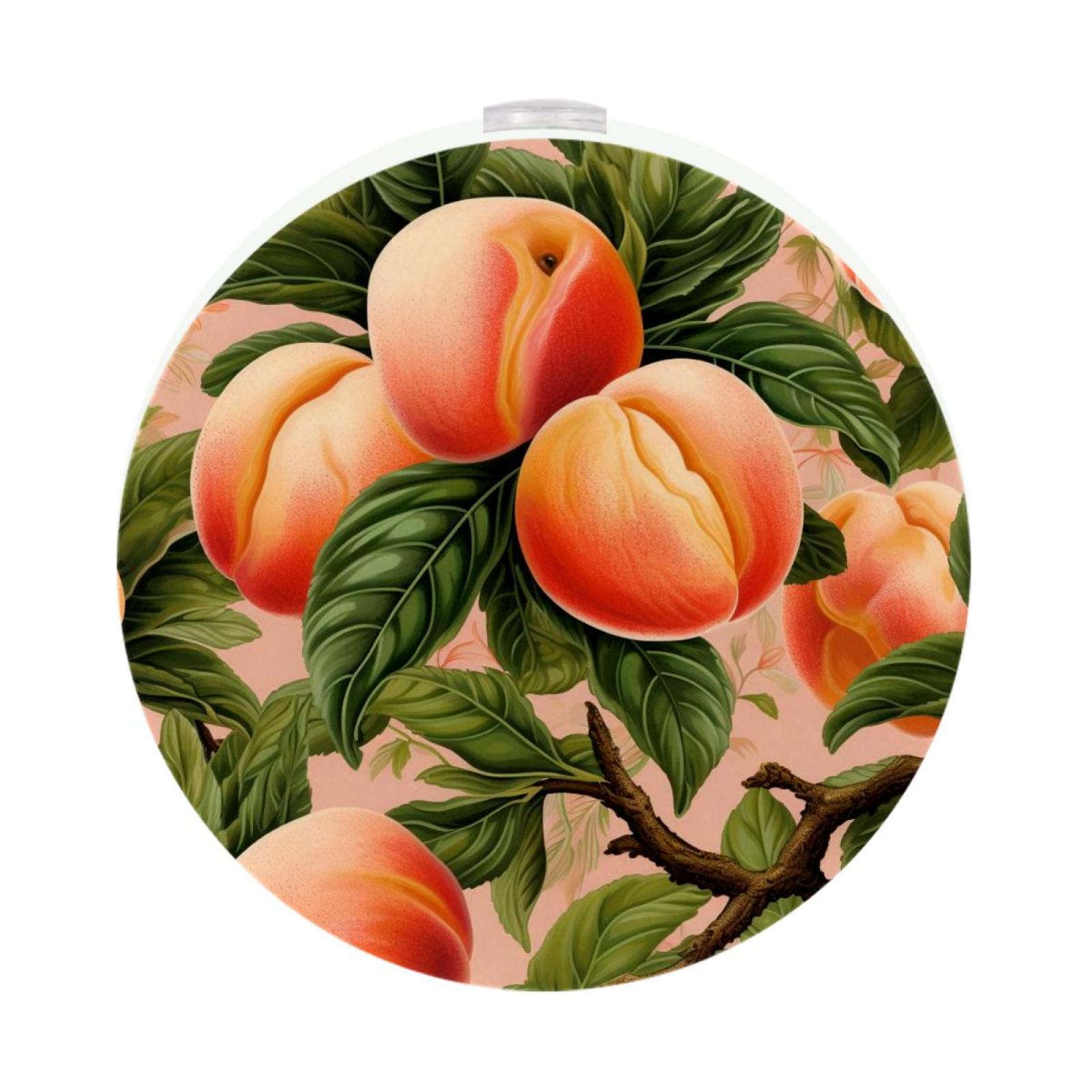 Peach LED Round Night Light-2PCS, Energy Efficient Plug-in Bedroom ...