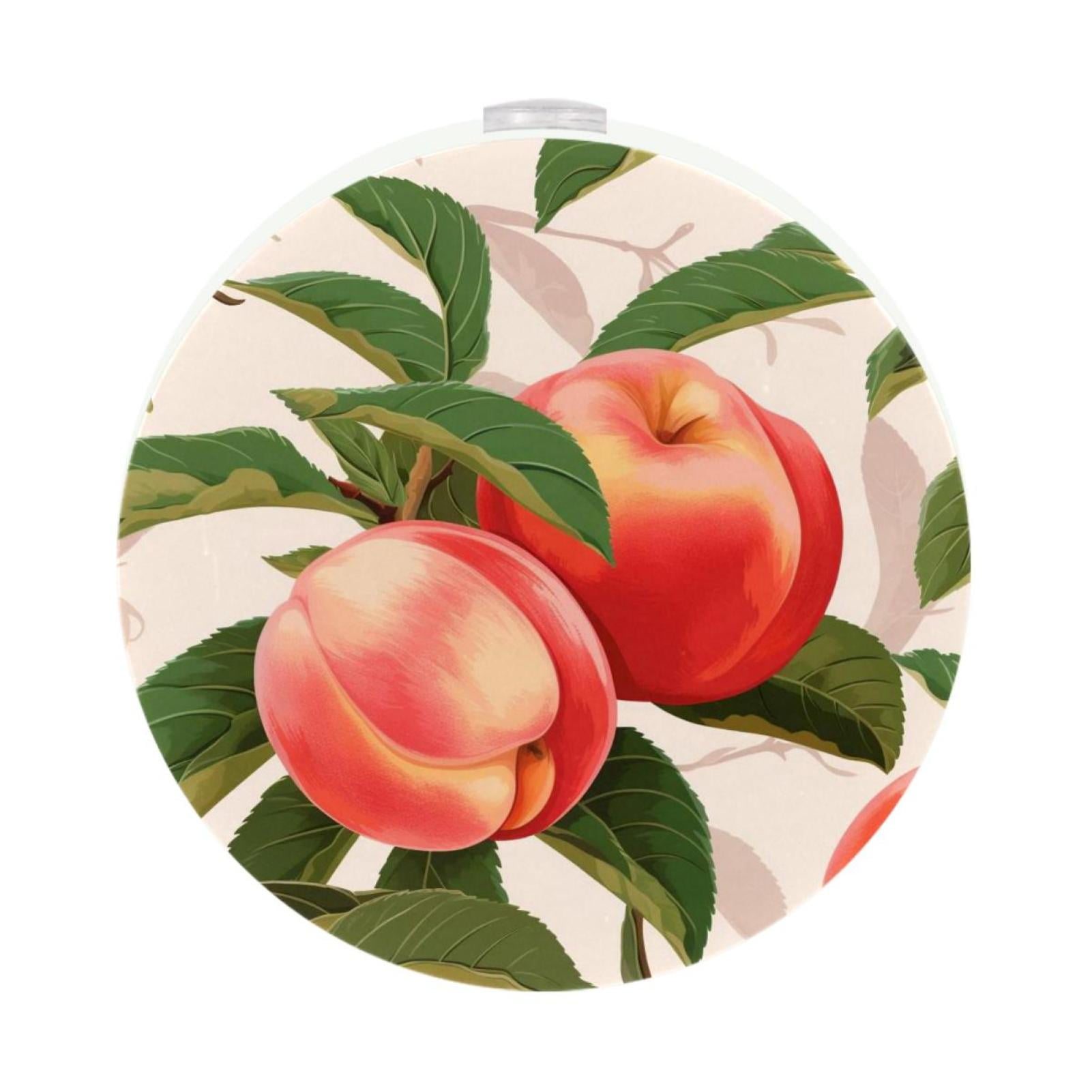 Peach LED Round Night Light-2PCS, Energy Efficient Plug-in Bedroom ...