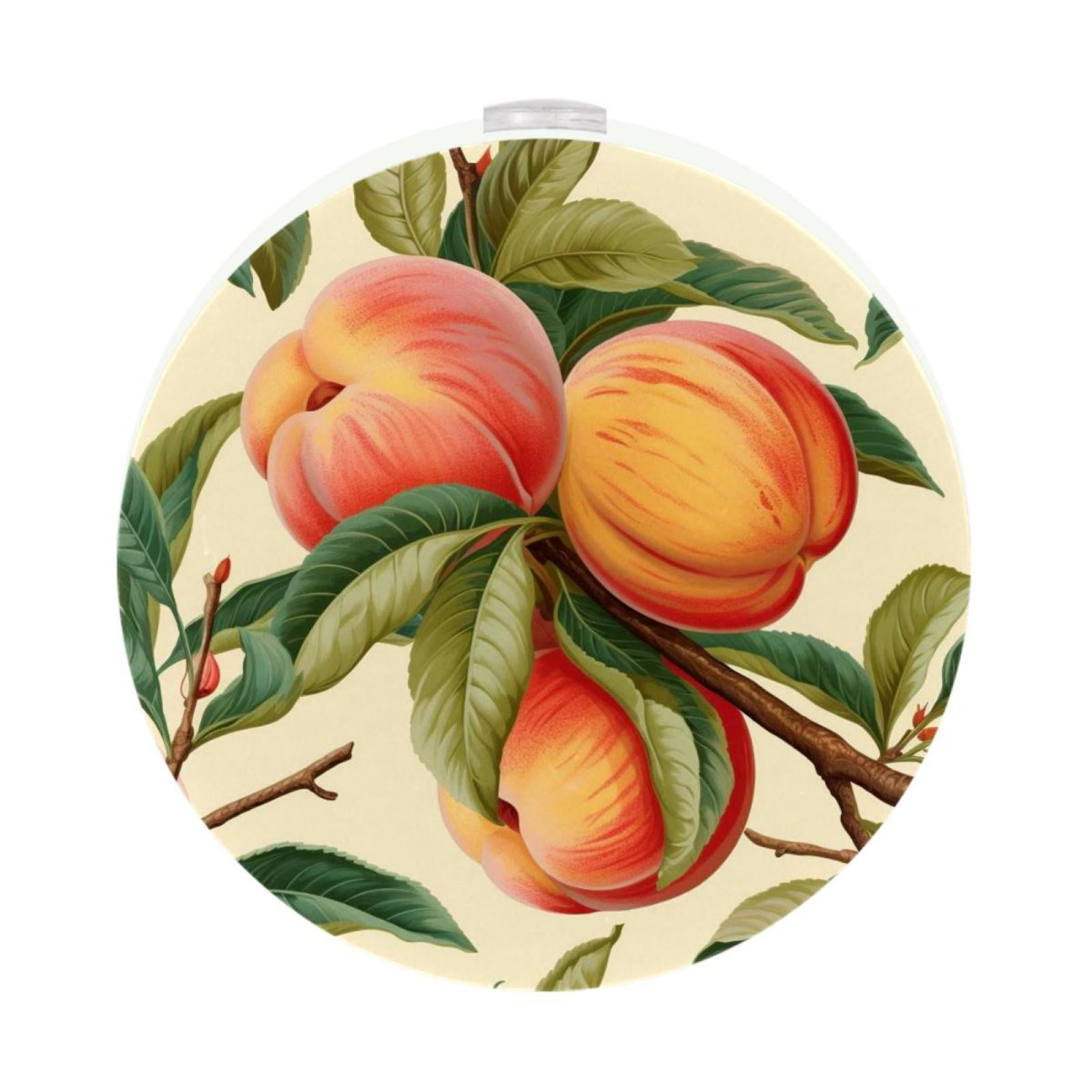 Peach LED Round Night Light-2PCS, Plug-in Dusk to Dawn Sensor Wall ...