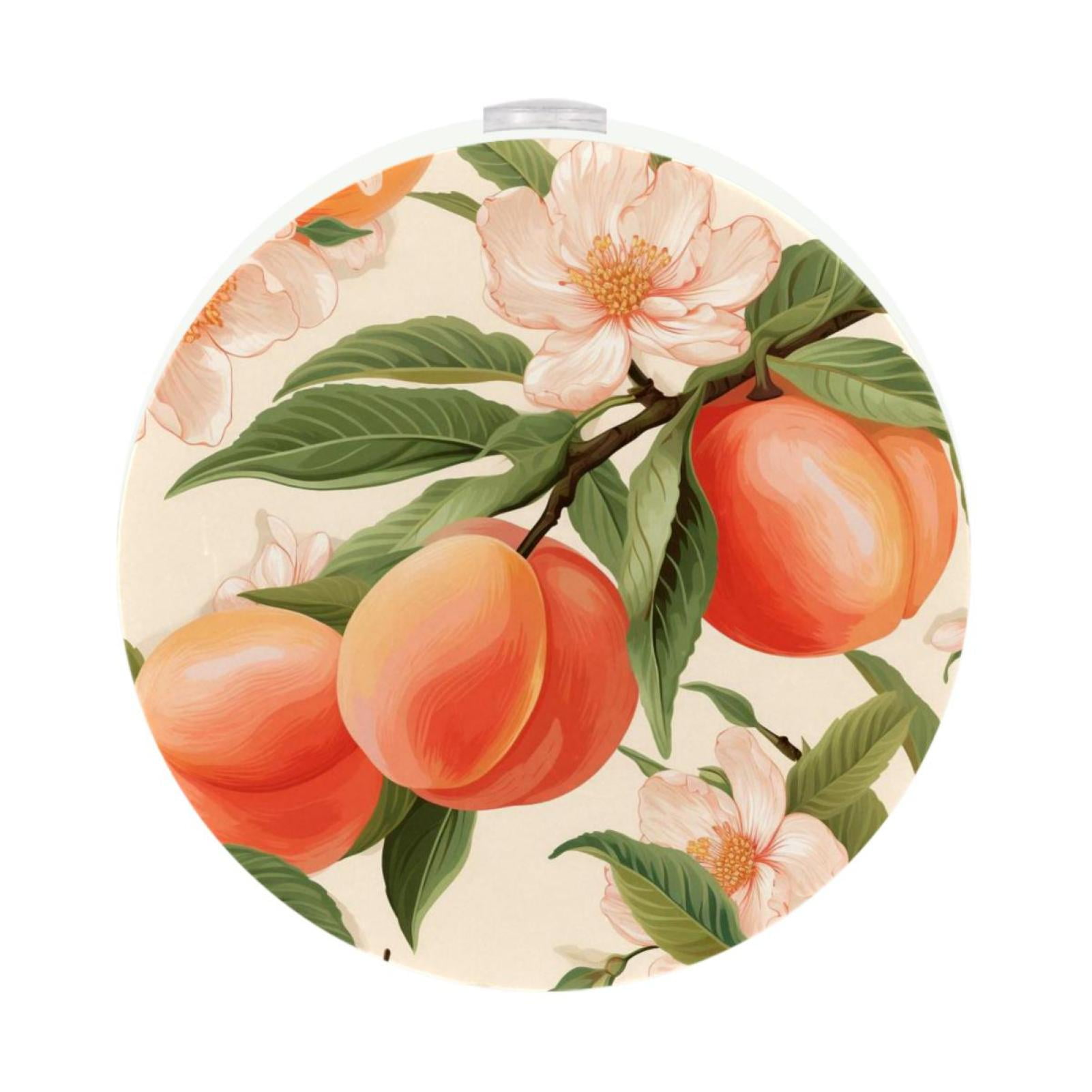 Peach LED Round Night Light-2PCS Ultra Bright Candle Battery Powered ...