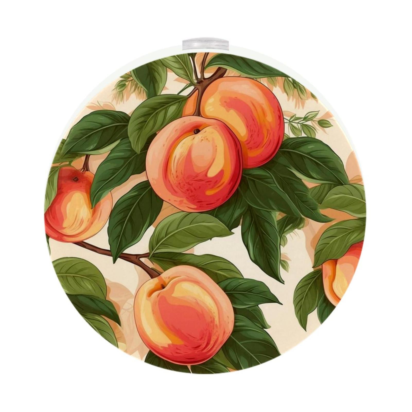 Peach LED Round Night Light-2PCS Ultra Bright Candle Battery Powered ...