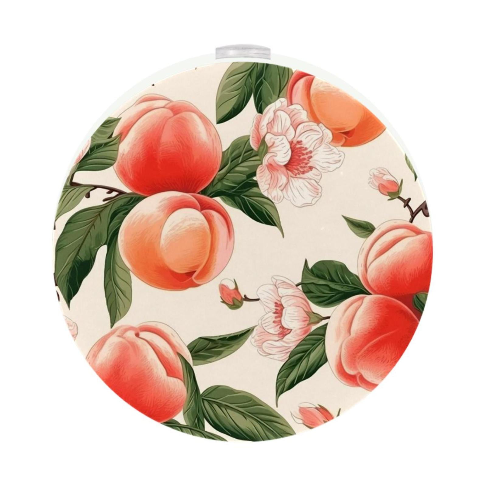 Peach Led Round Night Light-2pcs, Dimmable Plug-in Mini Wall Lamp with ...