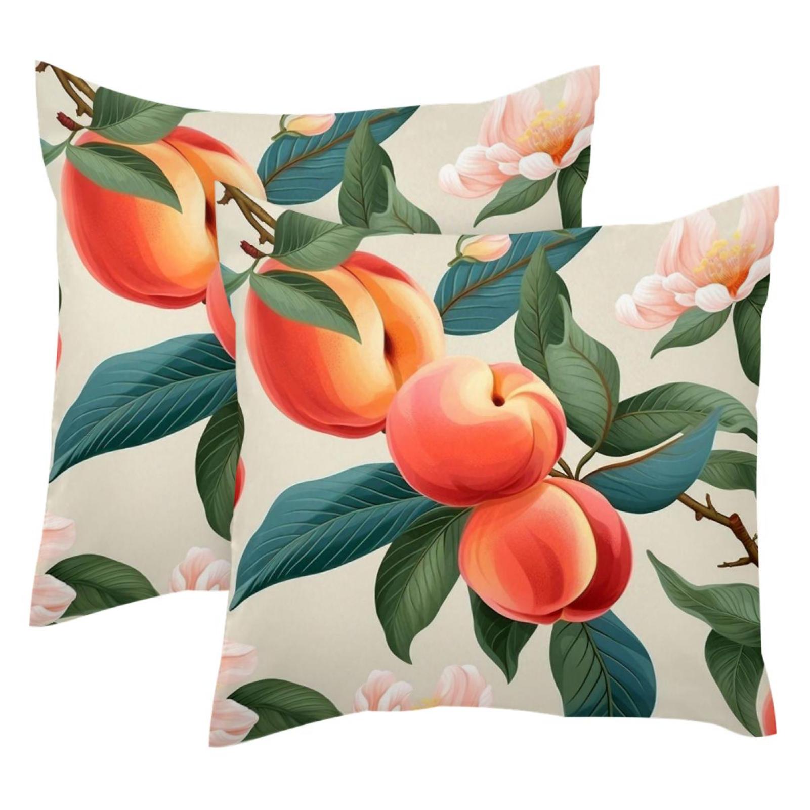 Peach Luxurious Velvet Throw Pillow Inserts 2PCS Chair Pillow Covers ...