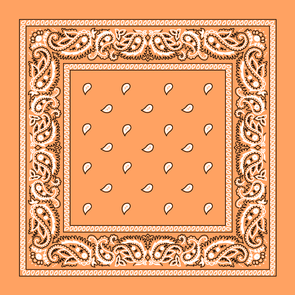 Peach Paisley Bandana - Single Piece 14x14 - Walmart.com