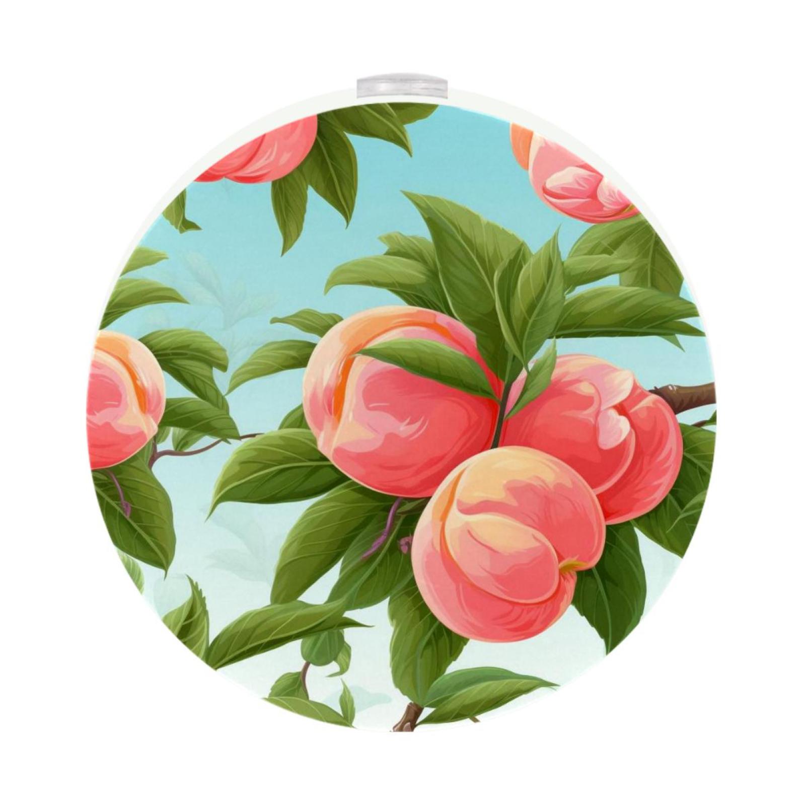 Peach Round LED Night Light-2PCS, Portable Plug-in Wall Lamp with Soft ...