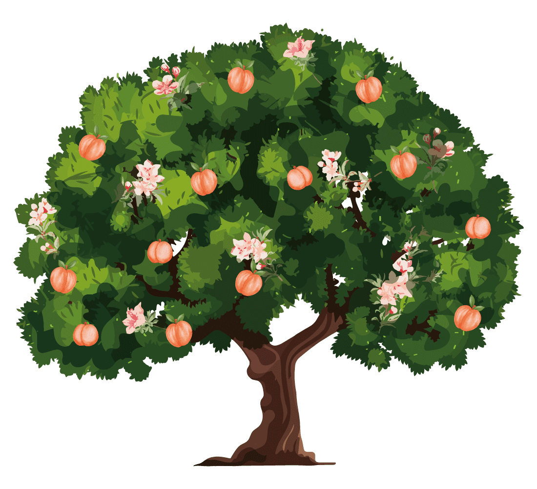Peach Tree with Lots of Peaches and Flowers Artwork Design Vinyl Wall ...