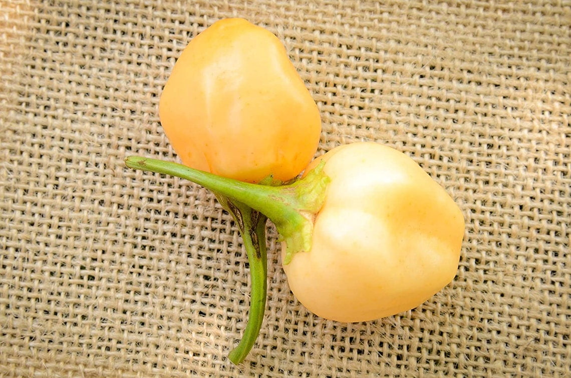 Peachadew Pepperdew Malawi Piquante Heirloom Pepper Premium Seeds ...