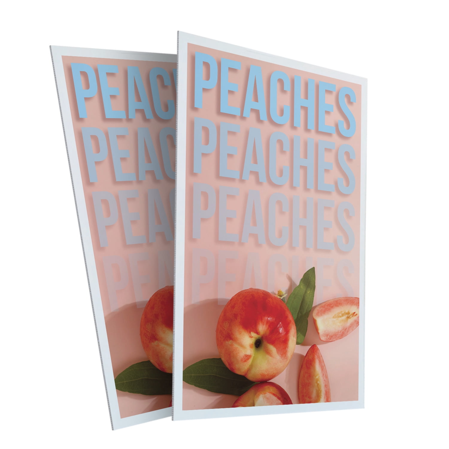 Peaches (2-Pack) 24 Inch x 36 Inch Plastic Signs | Sign Insert 4mm ...