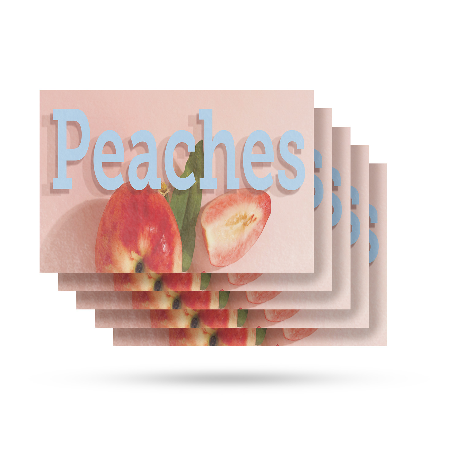 Peaches Vinyl Decal 5 Pack of 18 Inch x 24 Inch Weatherproof Heavy-Duty ...