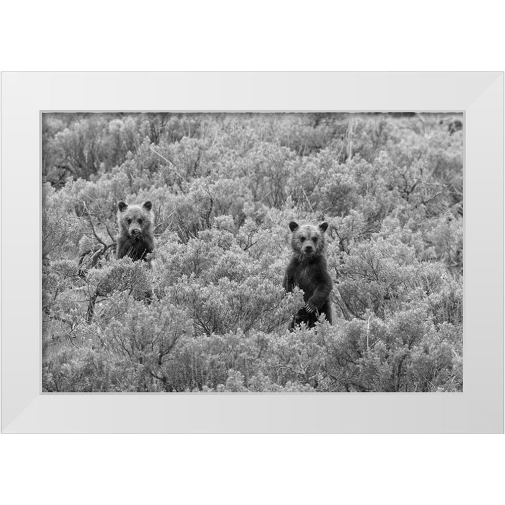Peaco, Jim 14x11 White Modern Wood Framed Museum Art Print Titled ...