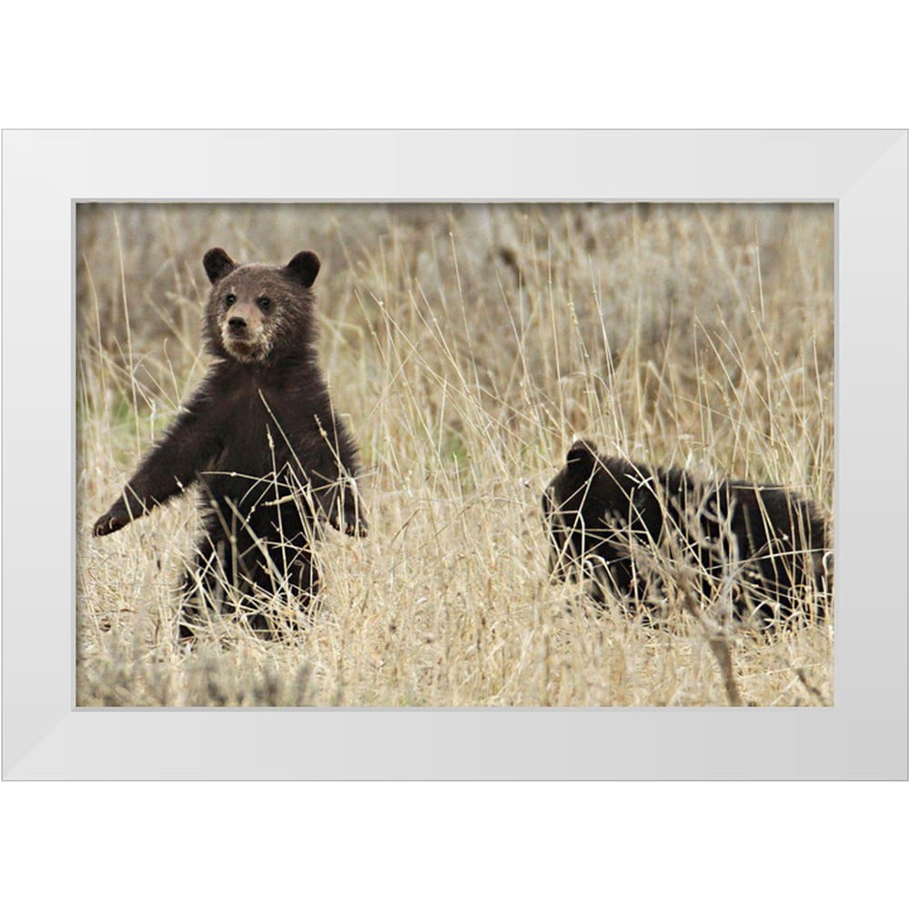 Peaco, Jim 14x11 White Modern Wood Framed Museum Art Print Titled ...