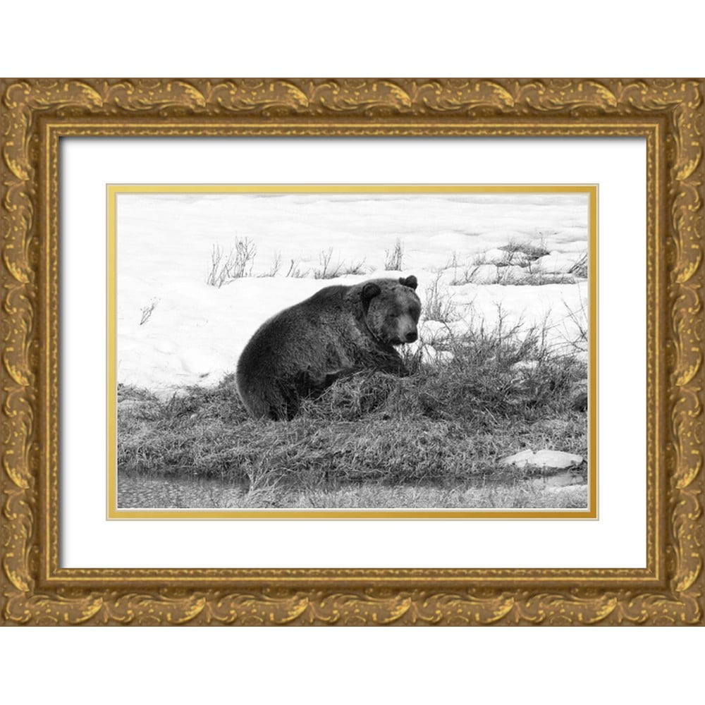 Peaco, Jim 18x13 Gold Ornate Wood Framed with Double Matting Museum Art ...