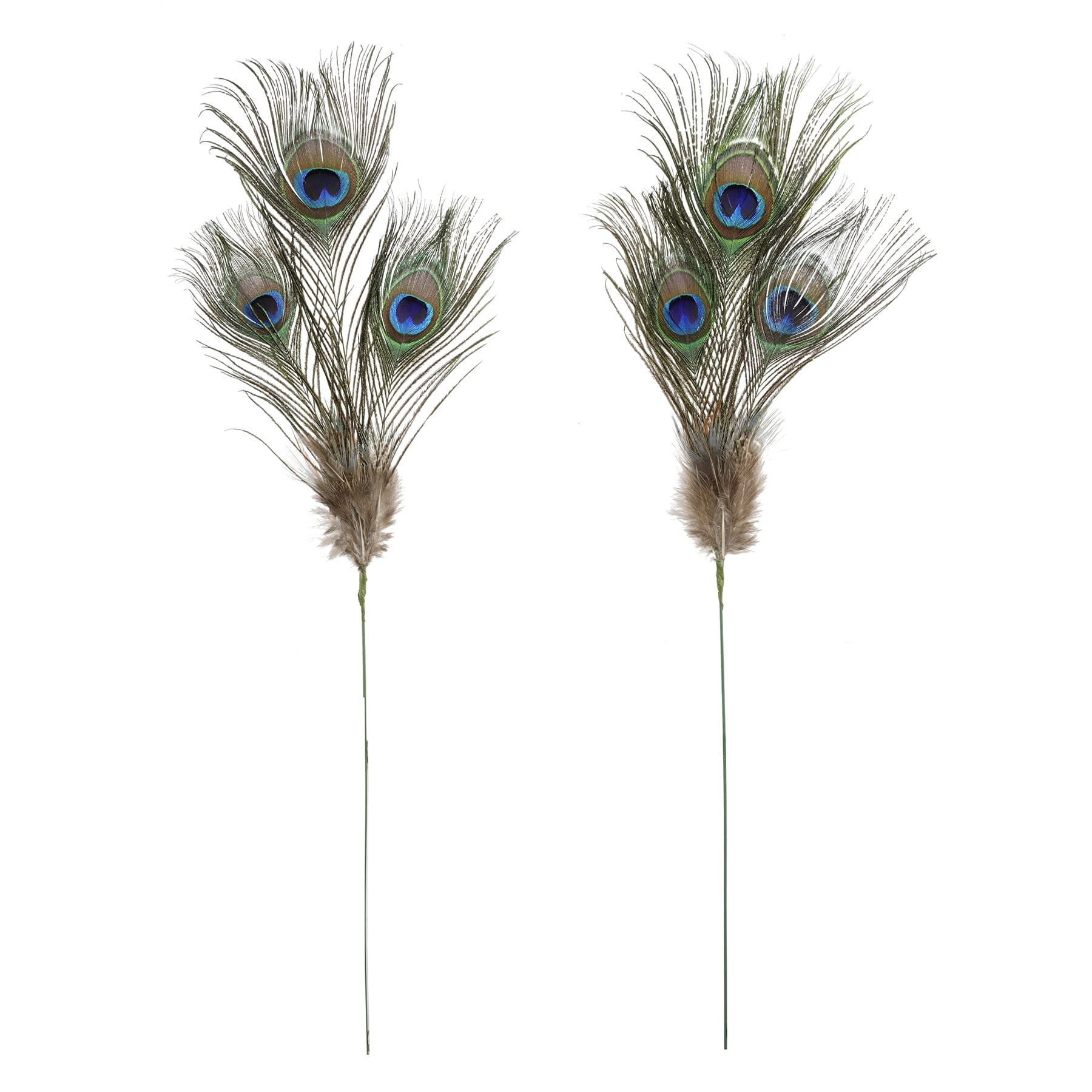 Peacock Feather Picks by Ashland® - Walmart.com