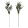 Peacock Feather Picks by Ashland® - Walmart.com
