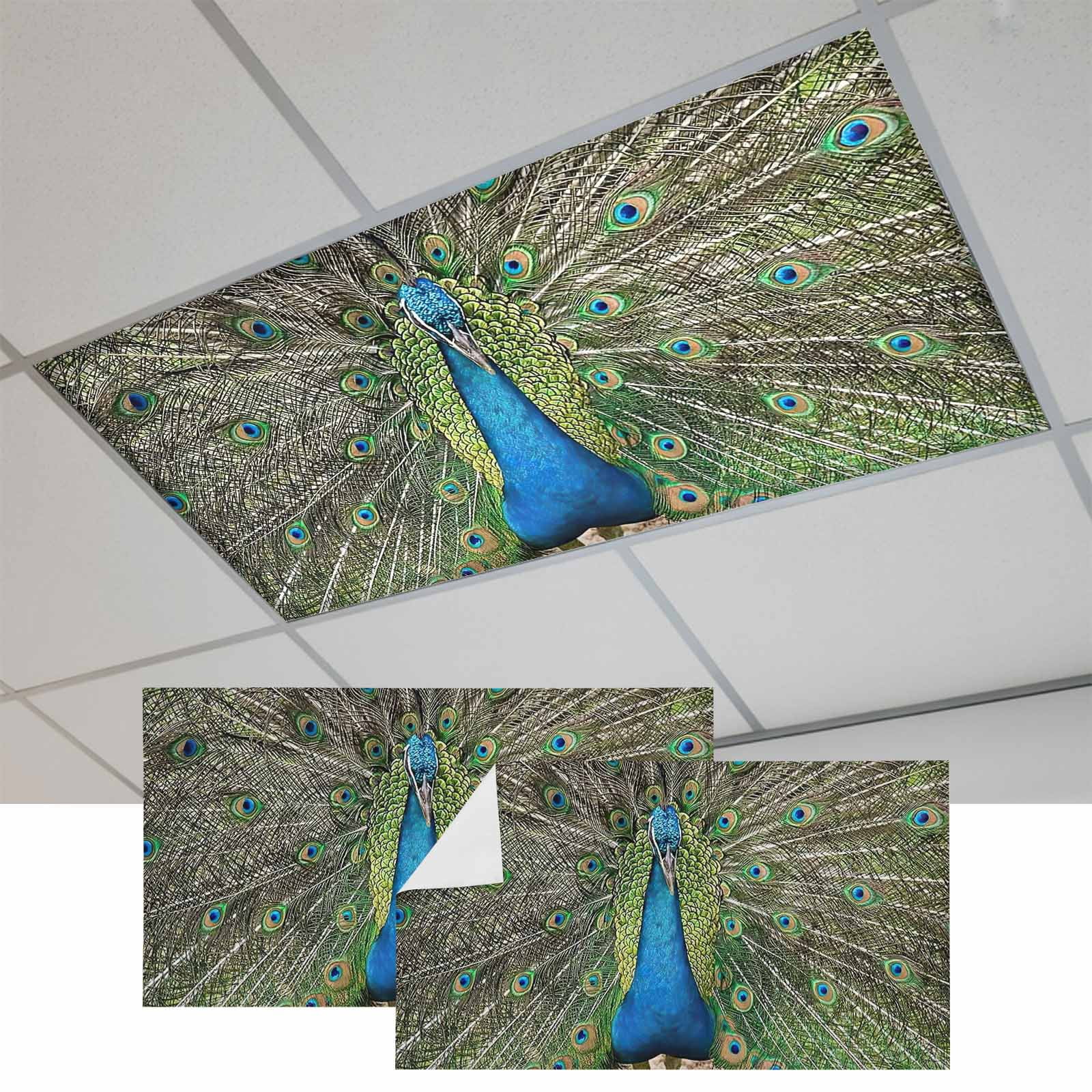 Peacock Feathers Magnetic Fluorescent Light Covers for Ceiling Lights 2 ...