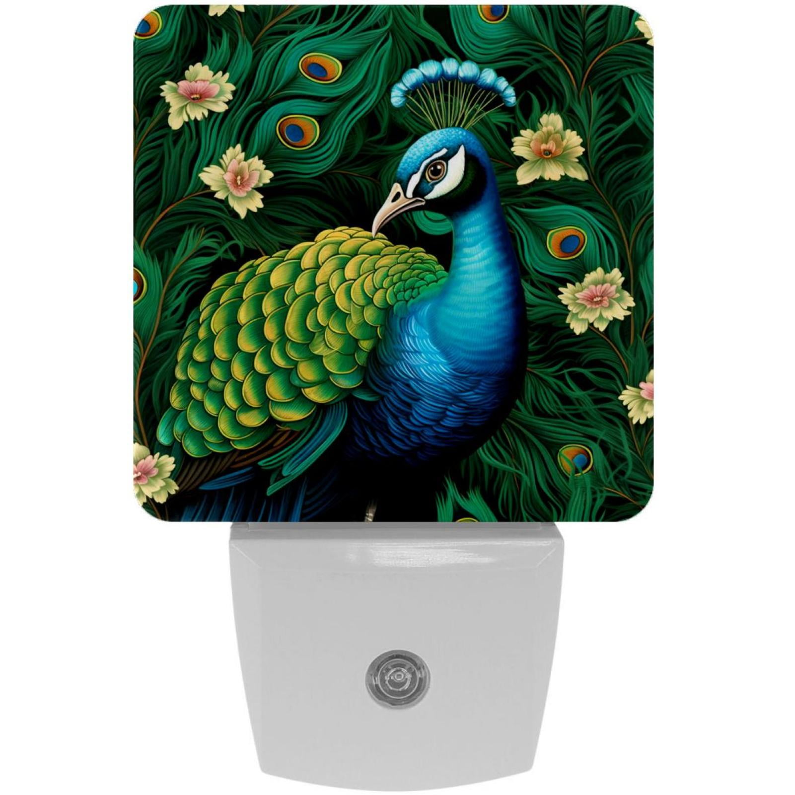 Peacock LED Square Night Lights - Energy Efficient & Elegant Decorative ...