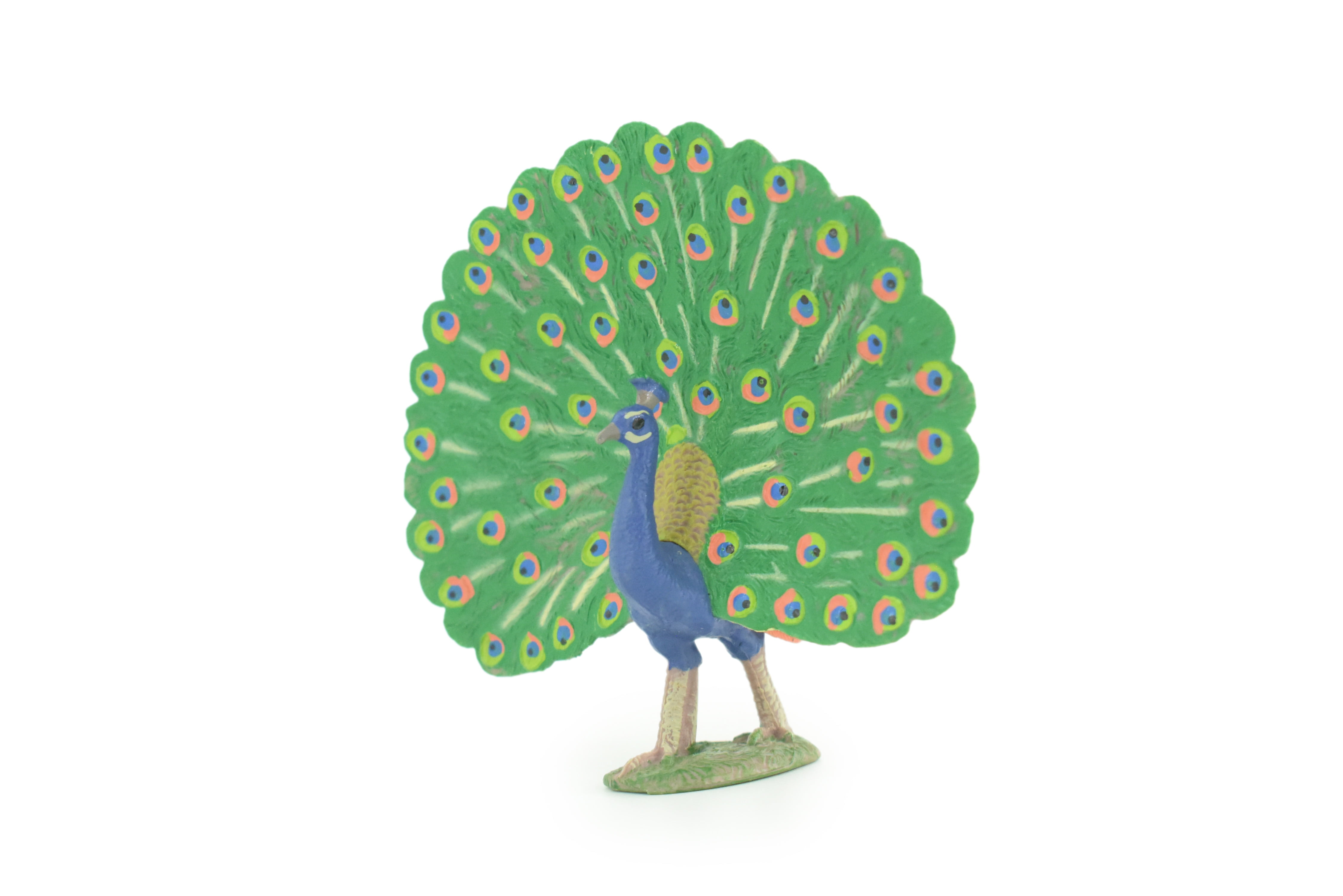 Peacock, Peafowl, Hand Painted, Educational, High Quality Rubber Bird ...