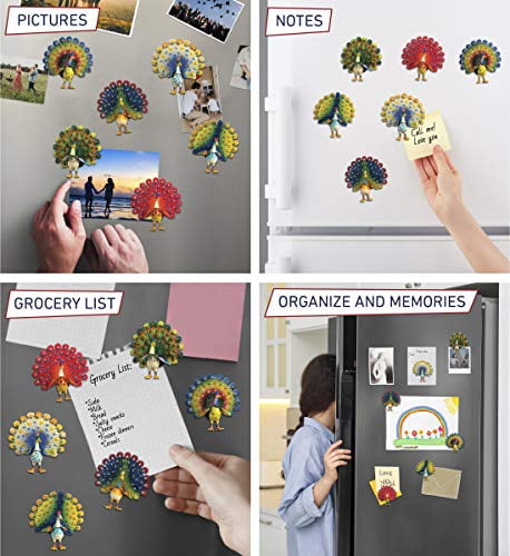 Peacock Refrigerator Bobble Magnets Set of 6 Assorted Color Fun Cute ...