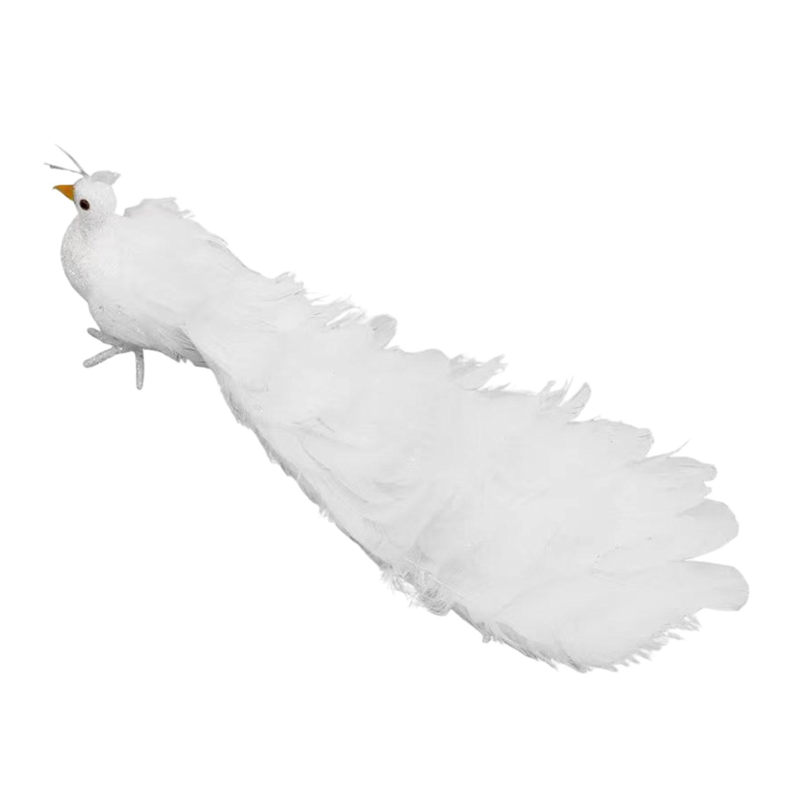 Peacock Simulation Bird Feathered Bird Model Decorative Realistic Bird ...