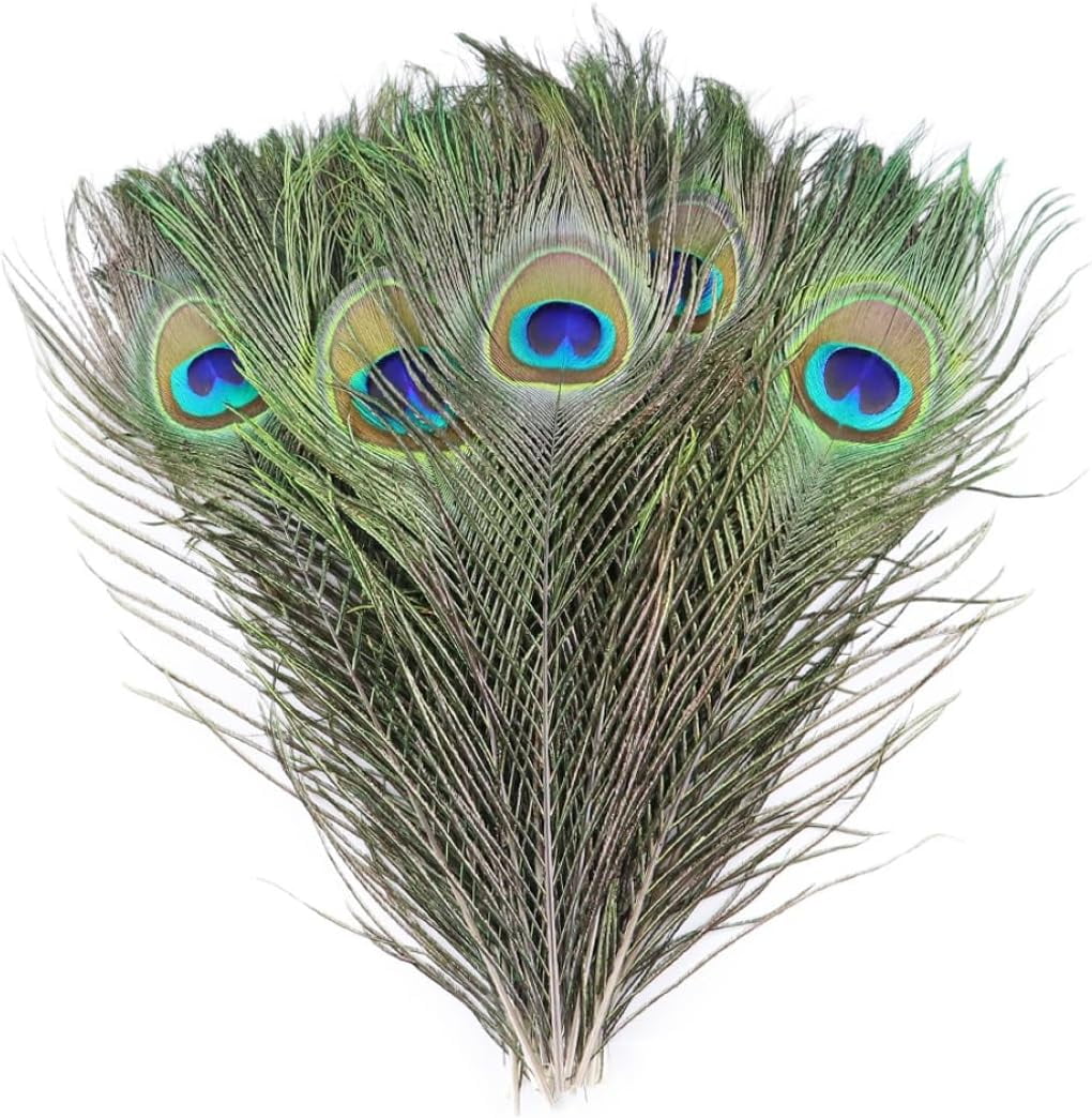 Peacock Tail Feathers Peacock Feathers Tail Eye Feathers Natural ...