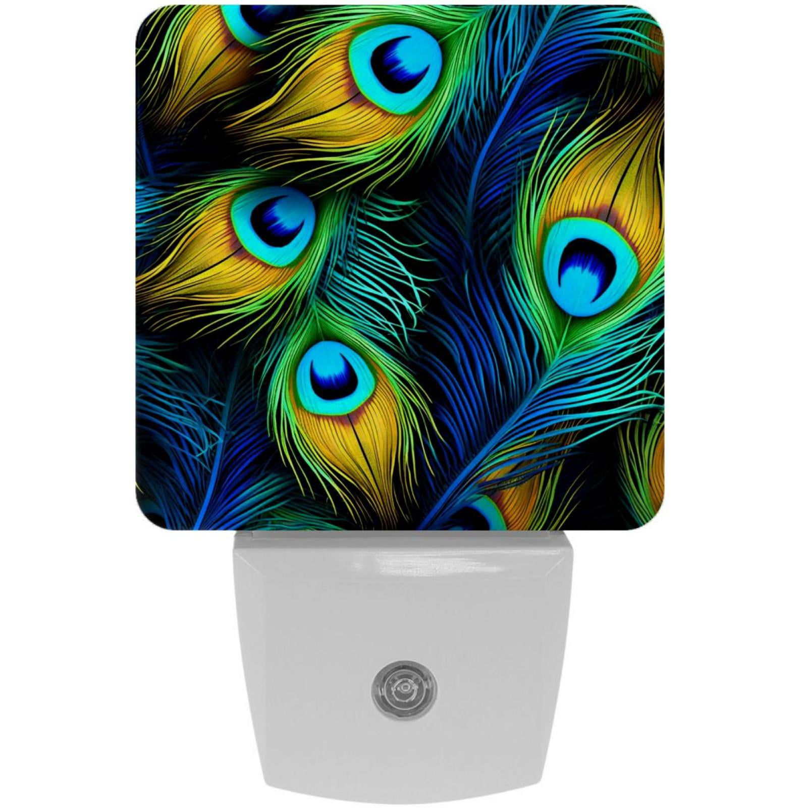 Peacock feathers LED Square Night Lights - Energy Efficient and Stylish ...