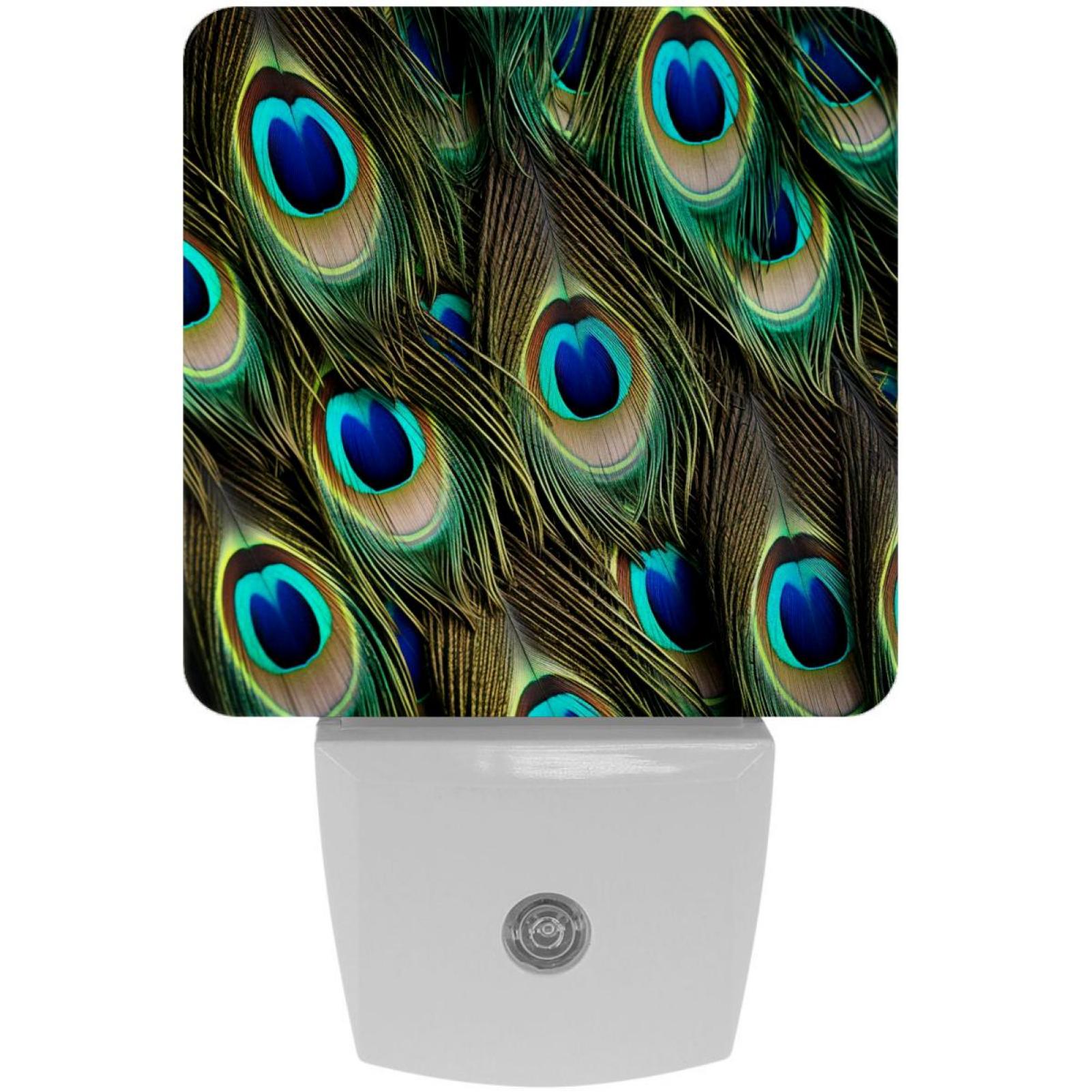 Peacock feathers LED Square Night Lights - Modern Design, Soft Glow ...