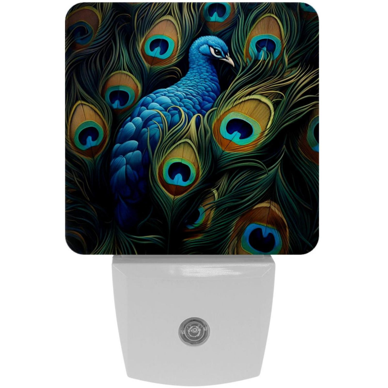Peacock feathers LED Square Night Lights - Stylish and Convenient ...