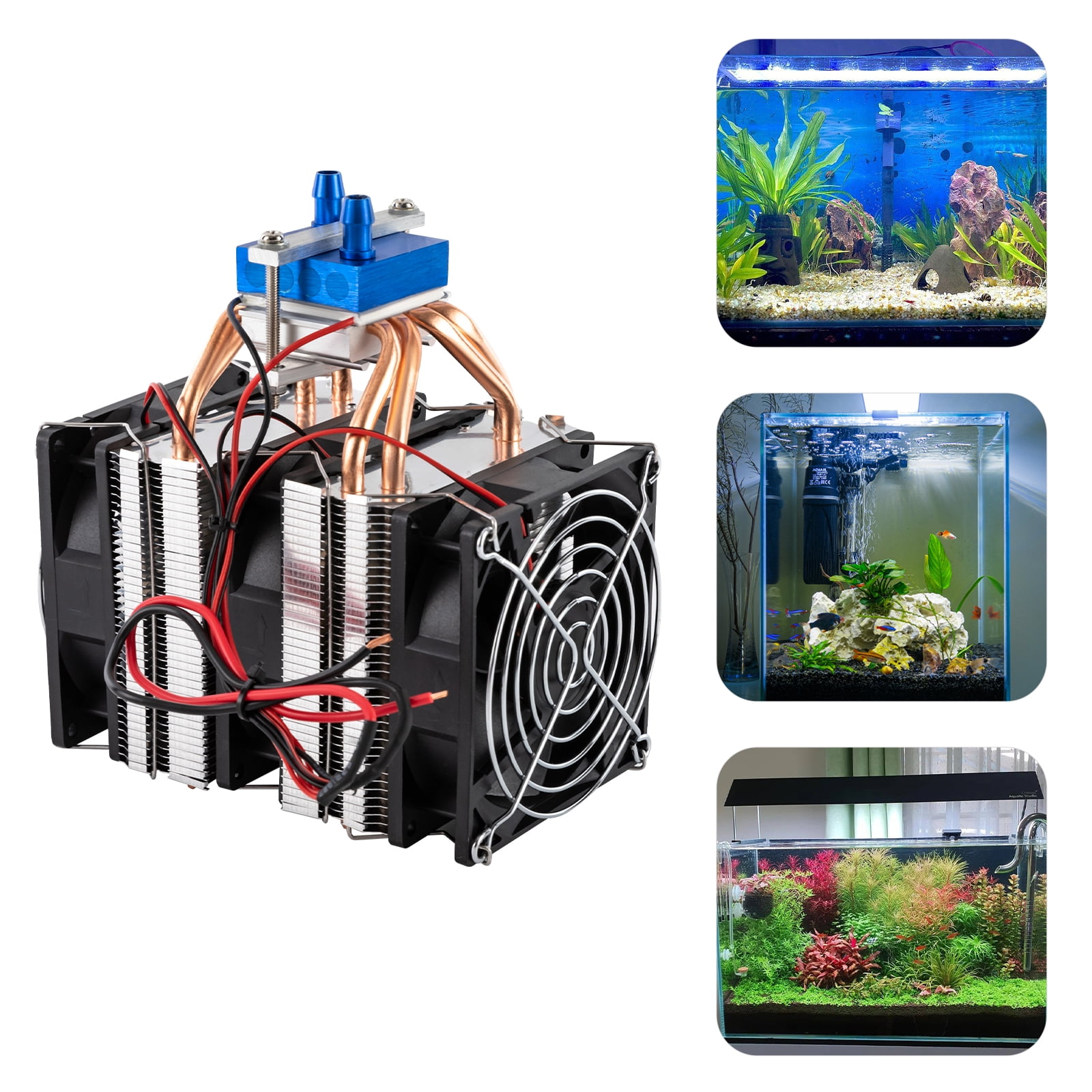 Peakora Efficient Cooler Cooling System for Aquariums, High-End ...