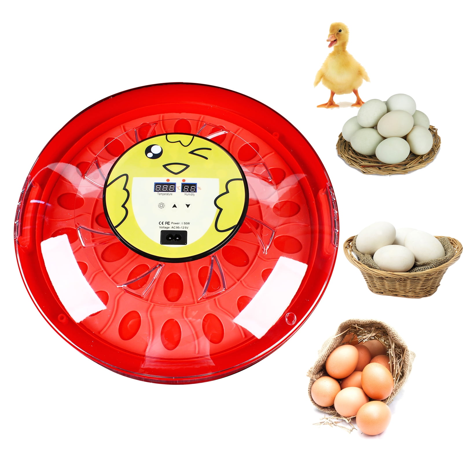 Peakora Egg Incubator for 30 Eggs, Adjustable Temperature (86-103°F ...