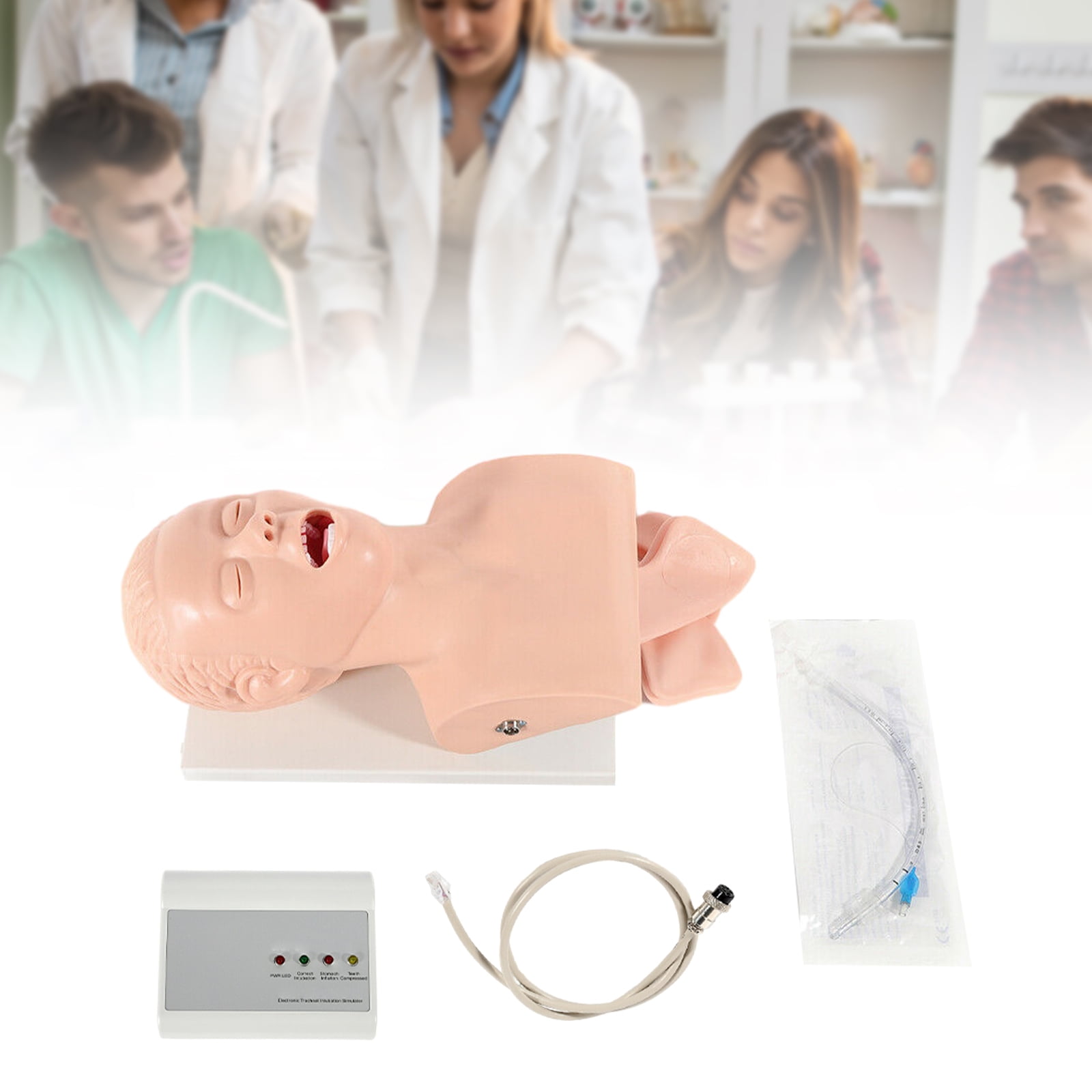 Peakora Tabletop Electron Intubation Model Intubation Manikin Teaching ...