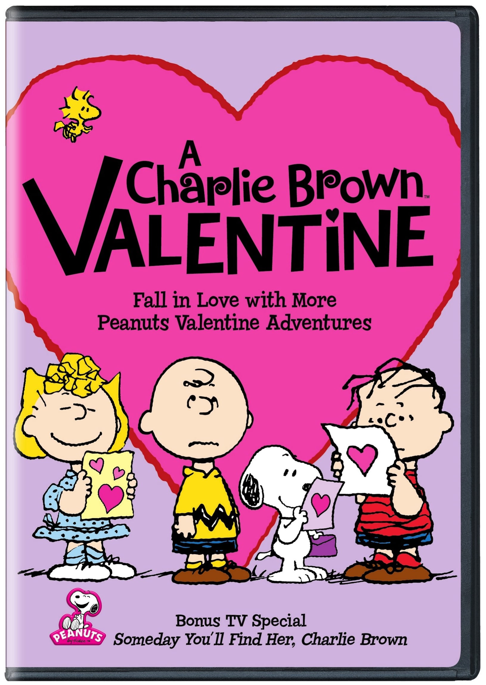 Warner Home Video - A Charlie Brown Valentine DVD, Kids Animation ...