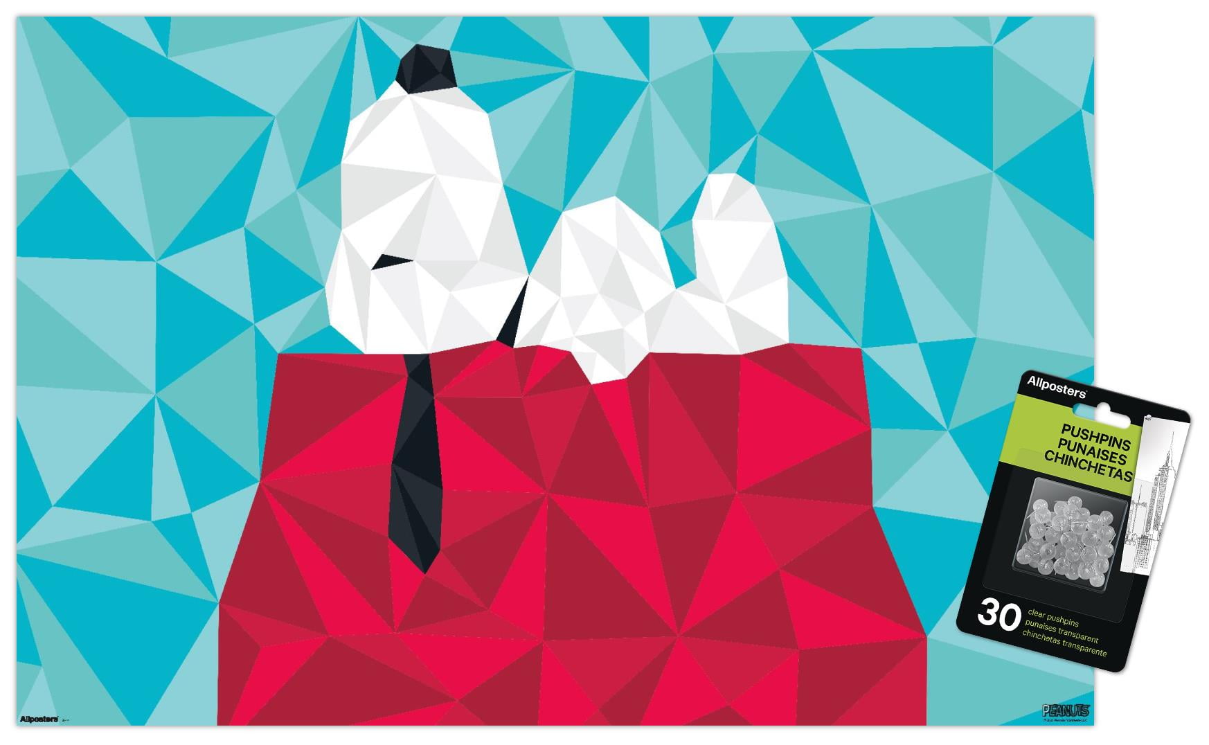 Peanuts: Astronomy-Geometry - Snoopy Wall Poster with Push Pins, 14.725 ...