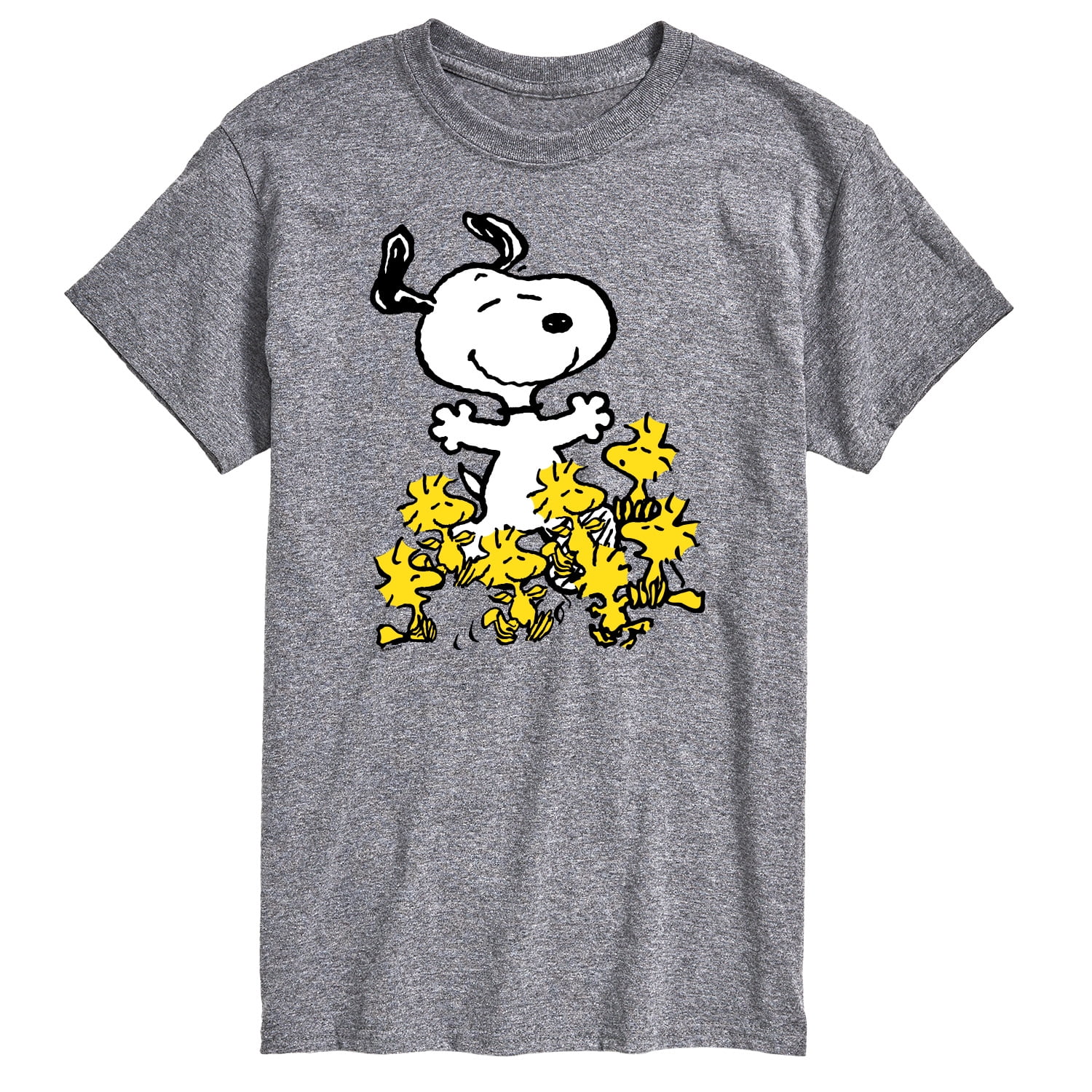 Peanuts - Best of Snoopy And Woodstock - Men's Short Sleeve Graphic T ...